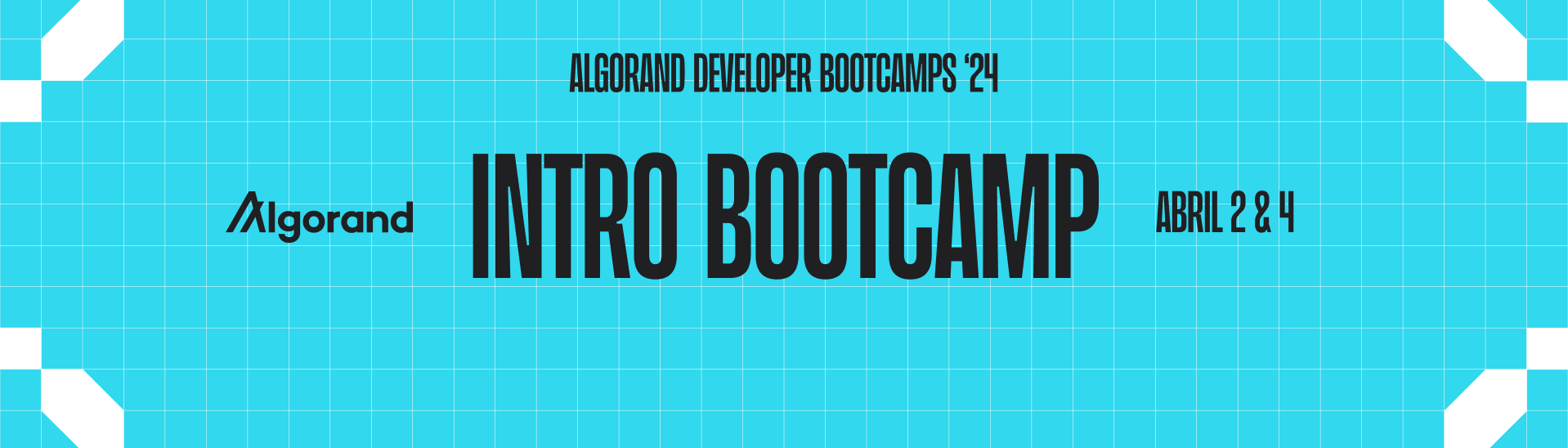 Intro Bootcamp Español | Algorand Developer Portal